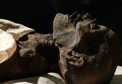 Realiteti - Mirësevini